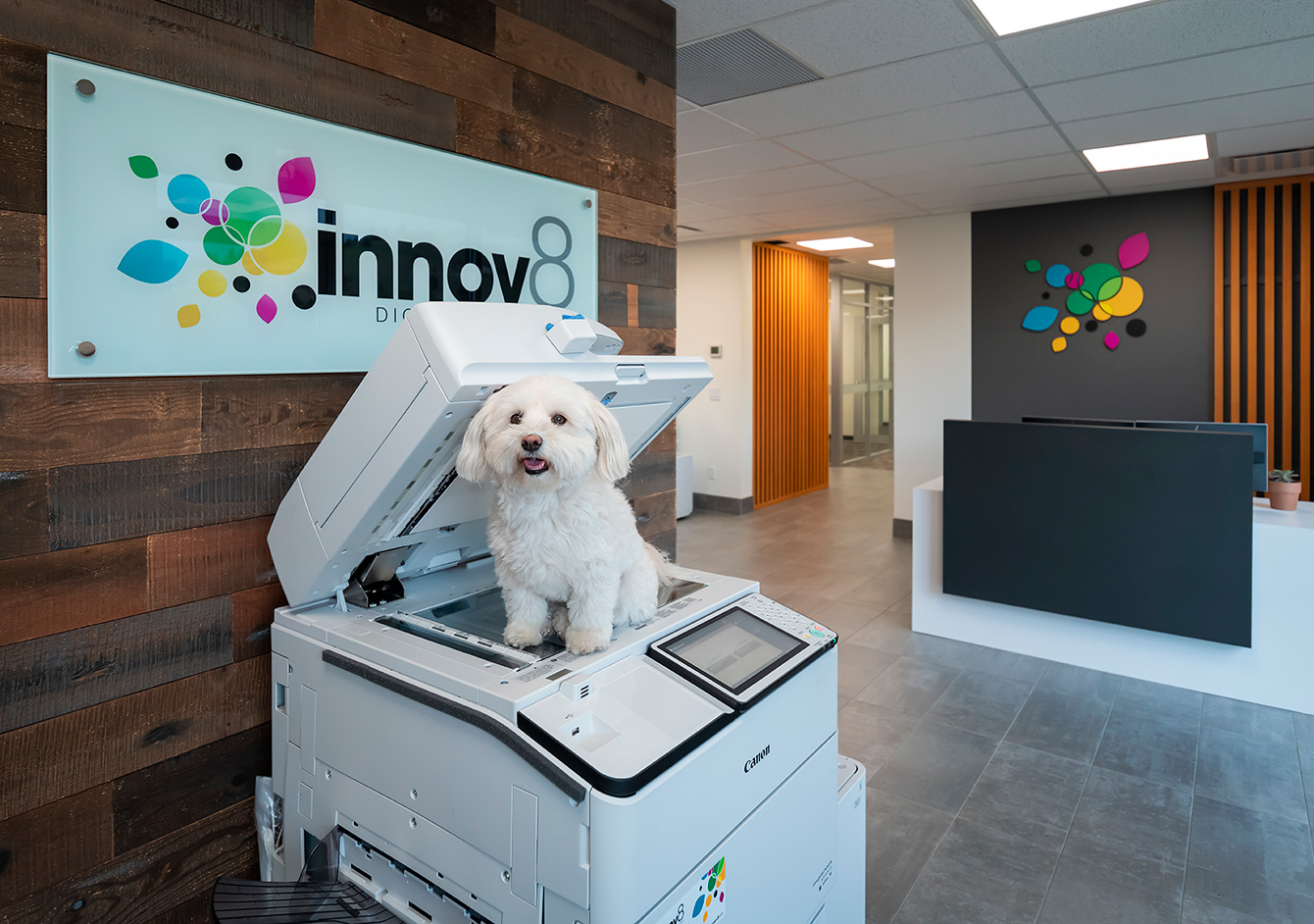 Special Offers | Innov8 Digital Solutions